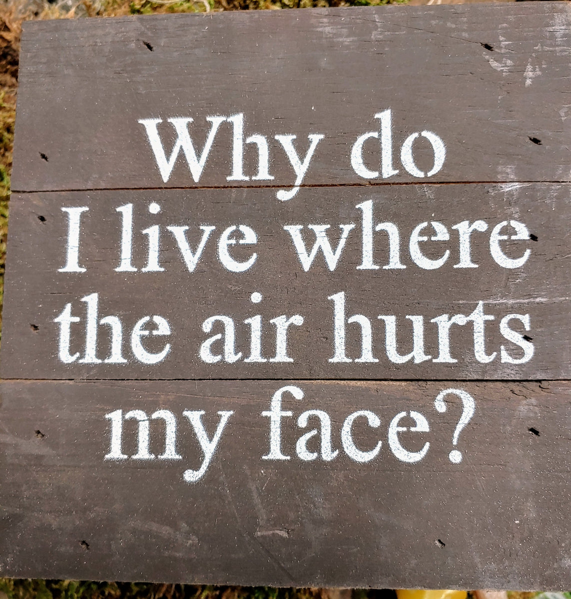 Why Do I Live Where the Air Hurts my Face Rustic Humorous Signs