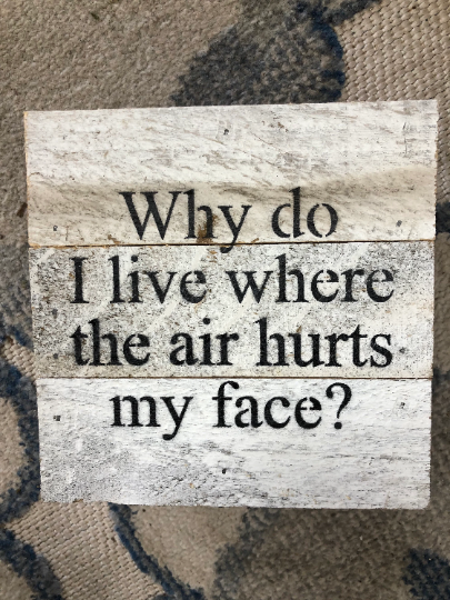 Why Do I Live Where the Air Hurts my Face Rustic Humorous Signs